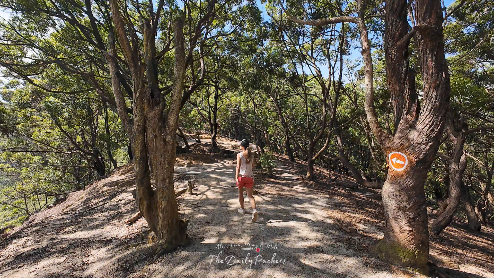 Ella Rock: How to Hike Ella’s Most Scenic Trail in 2026